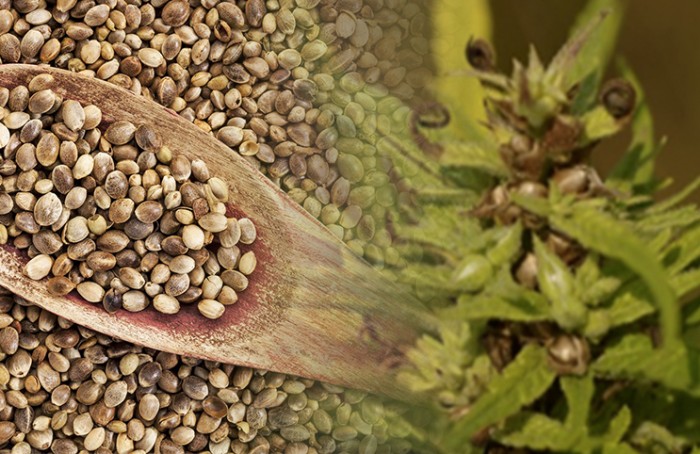 Investing in the Ancillary Markets of Cannabis - Marijuana Stocks ...