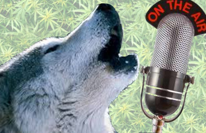 On The Money Radio Interviews Wolf of Weed Street - Marijuana Stocks ...