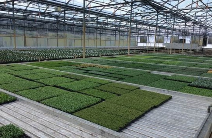 Investing in the Ancillary Markets of Cannabis - Marijuana Stocks ...