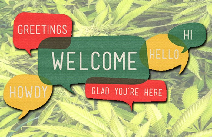 $RQHTF: Welcome To The #Marijuana Industry - Marijuana Stocks ...