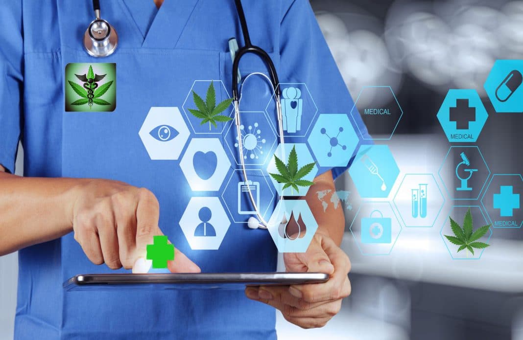 Cannabis Companies to Look Out For as the Market Continues to Grow ...