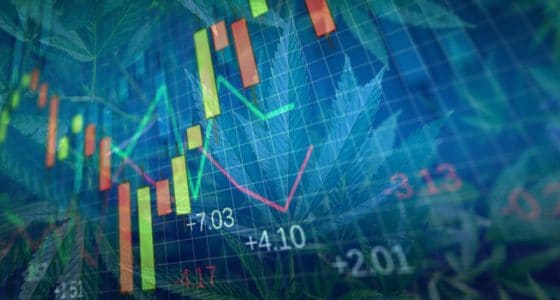 What CBD Does To The Brain And What It Is Good For - Marijuana Stocks ...