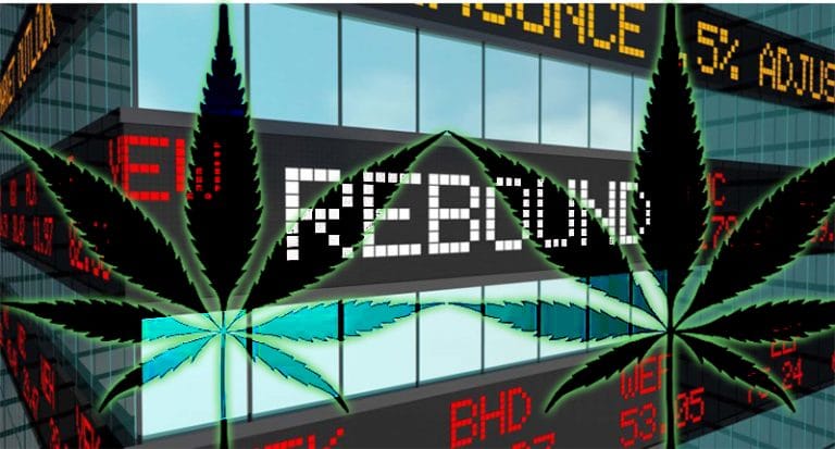 The World’s First CBD Store To Open In Vegas - Marijuana Stocks ...