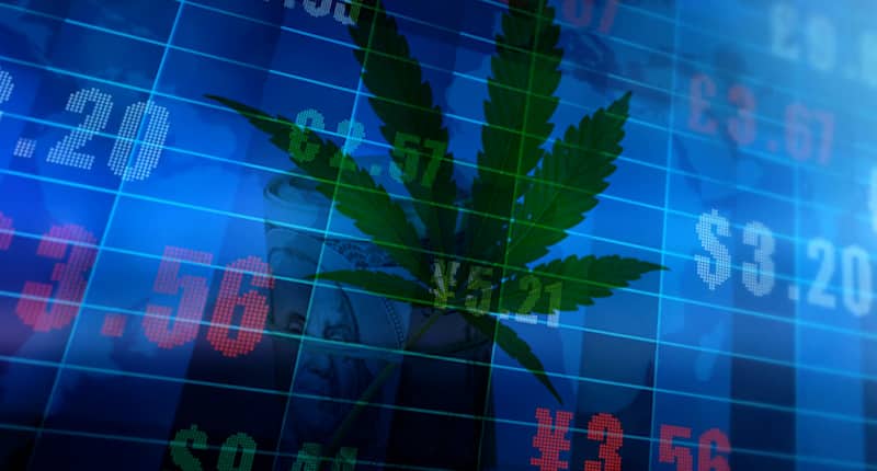 What to Look Out For When Investing in Cannabis Stocks - Marijuana ...