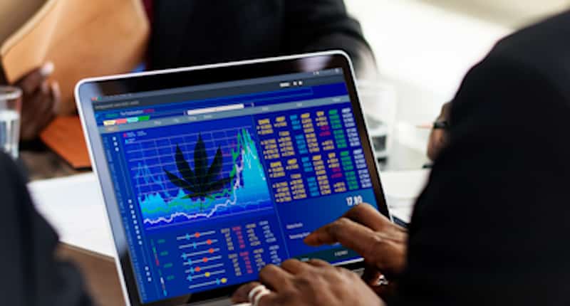 Are These Marijuana Stocks To Buy Right Now In 2021 - Marijuana Stocks ...