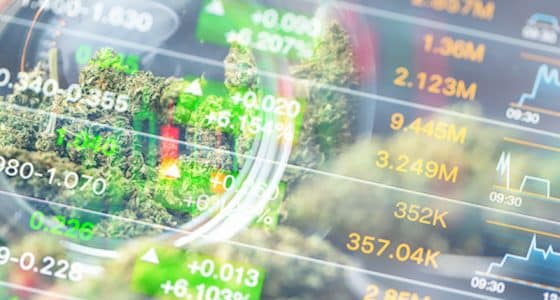 Are Cannabis Stocks Ready to Take Off Again? - Marijuana Stocks ...