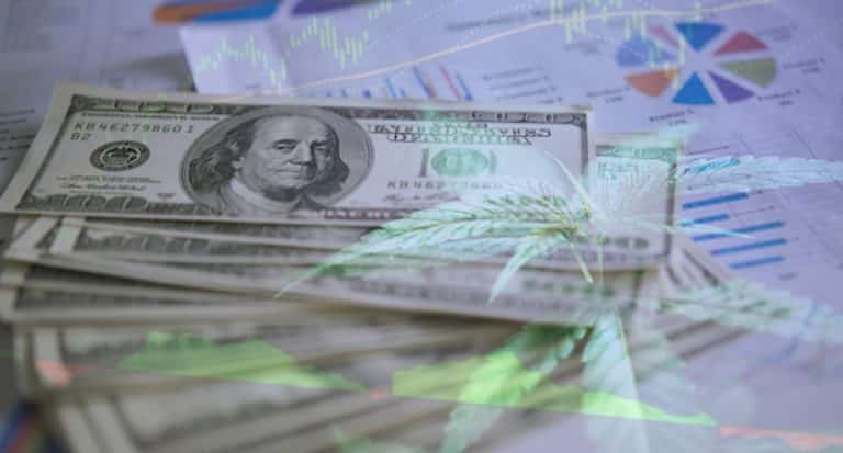 The One Of A Kind Benefits Of Using CBD Infused Terpene Oil - Marijuana ...