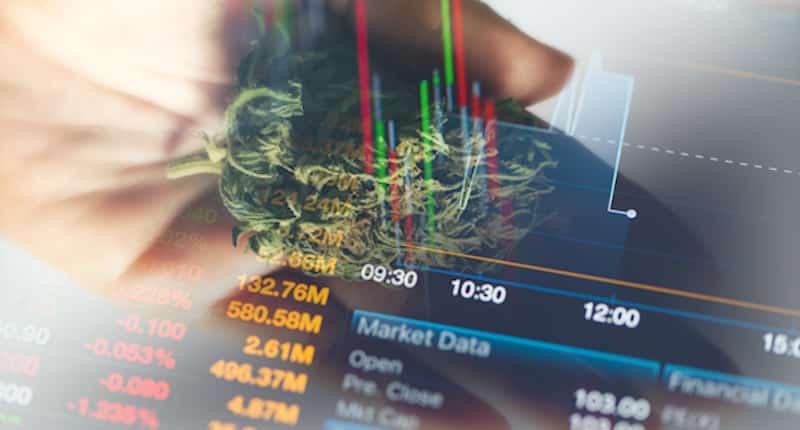 2 Marijuana Stock To Keep An Eye On In The Market This Month ...