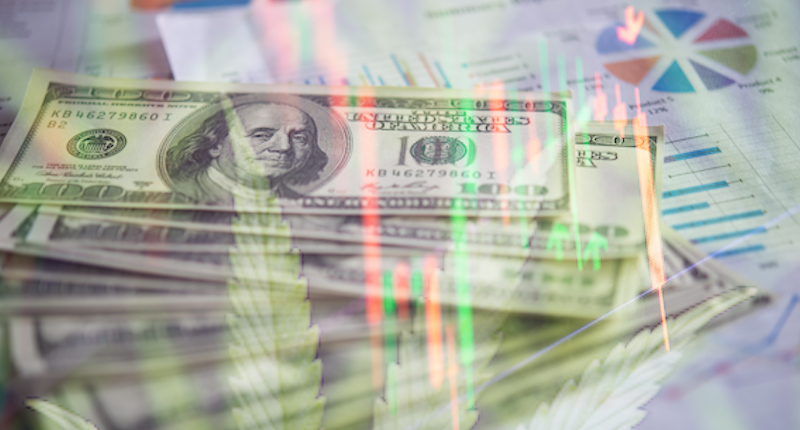 Best Marijuana Stocks To Invest In Right Now? 2 Pot Stocks For Your ...