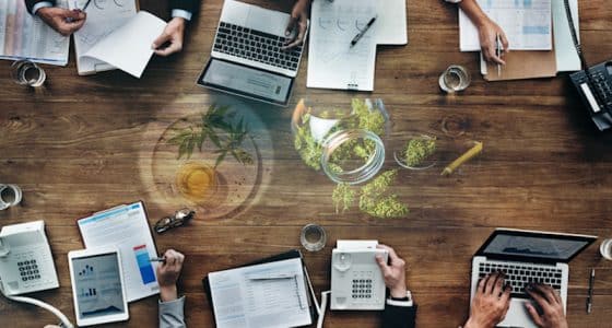 How to Invest in Today’s Cannabis Market - Marijuana Stocks | Cannabis ...