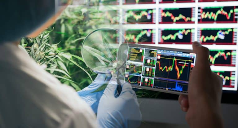 Want To Learn The Tricks Of The Trade? Read This Guide - Marijuana ...