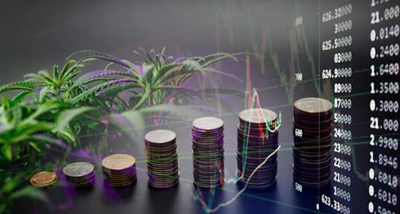 Featured Archives - Marijuana Stocks | Cannabis Investments and News ...