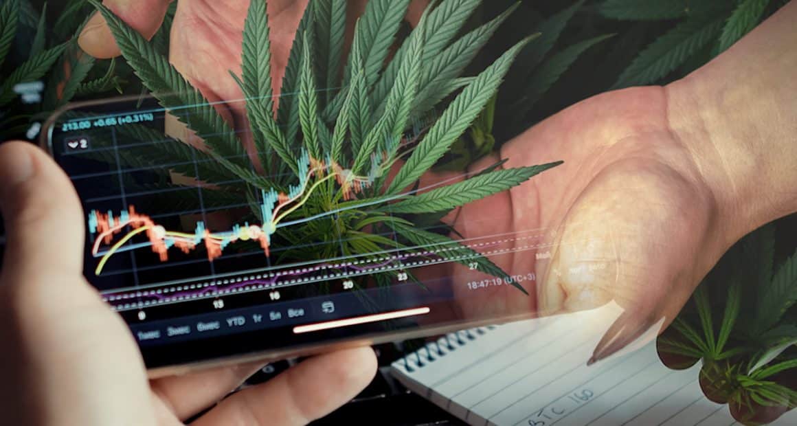 Marijuana Software Might Be Invading The Cannabis Industry - Marijuana Stocks | Cannabis ...