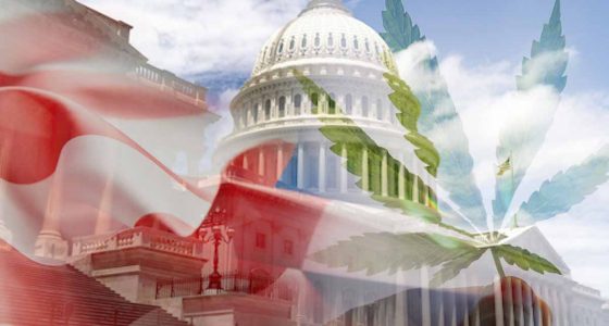 Federal Cannabis Reform Democrats Vs Republicans - Marijuana Stocks ...