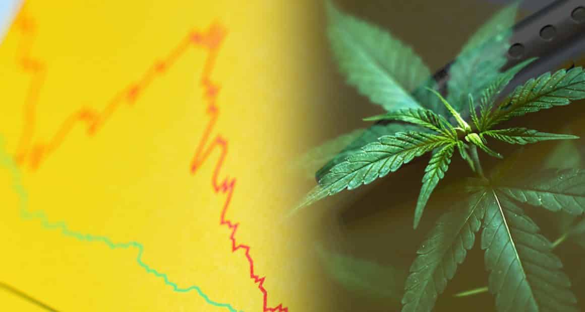 This Marijuana Stock Adds $806 Million to Market Value - Marijuana ...