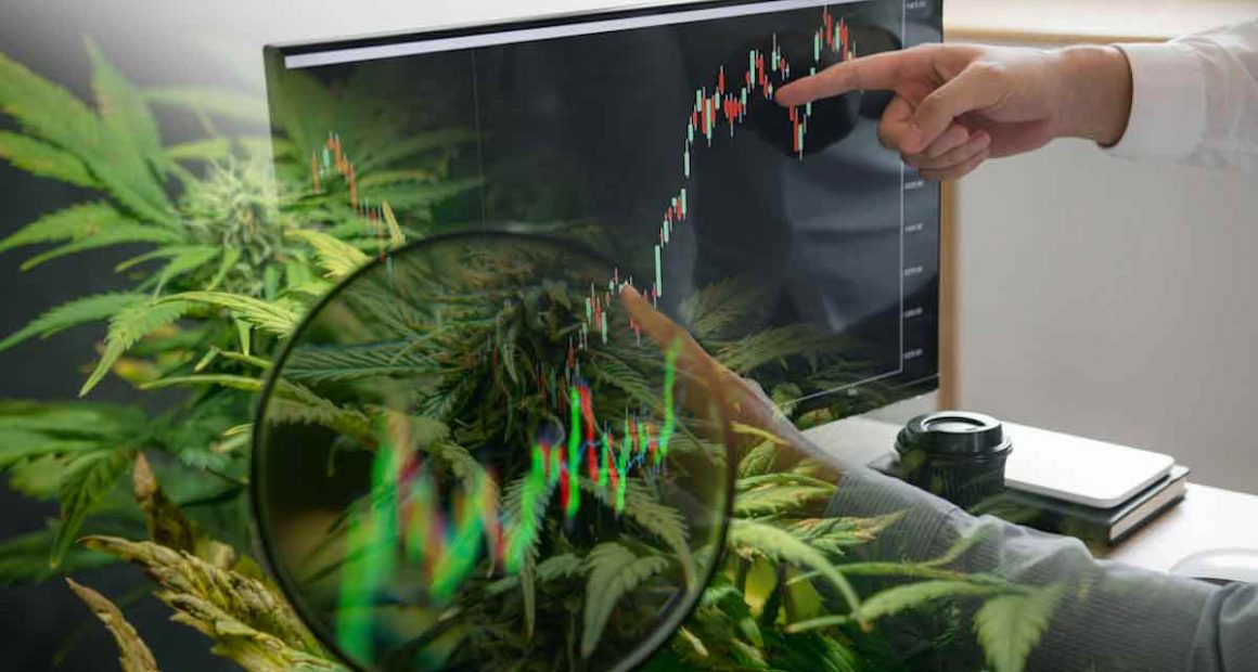 The Top Choices for Marijuana Stocks - Marijuana Stocks | Cannabis ...