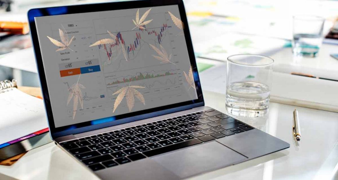 What CBD Does To The Brain And What It Is Good For - Marijuana Stocks ...