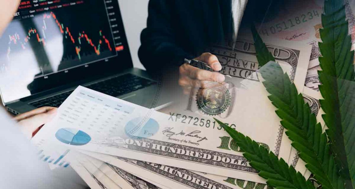 Marijuana Stocks | Cannabis Investments and News. Roots of a Budding ...