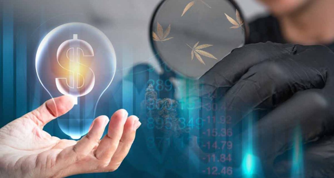 How to Invest in the Growing Cannabis Industry - Marijuana Stocks ...
