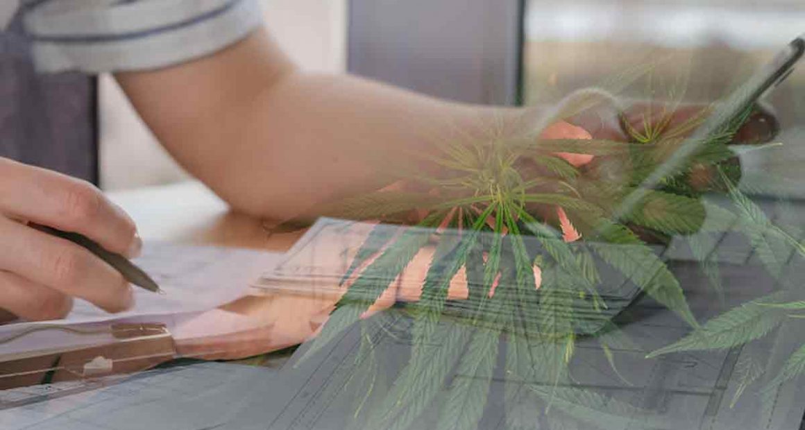 3 Top Ancillary Cannabis Stocks to Watch in February 2026