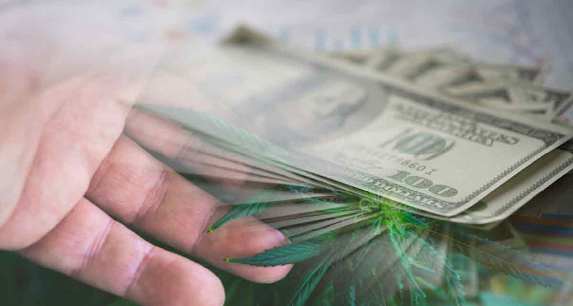 Marijuana Stocks | Cannabis Investments and News. Roots of a Budding ...