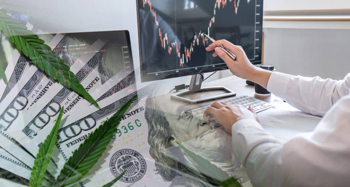 Marijuana Stocks | Cannabis Investments and News. Roots of a Budding ...