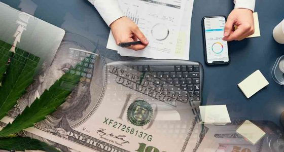 Top 5 Marijuana Stocks to Watch in 2015 - Marijuana Stocks | Cannabis ...