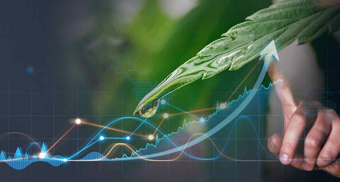 List Of Marijuana Stocks | Pot Stock List | MarijuanaStocks.com