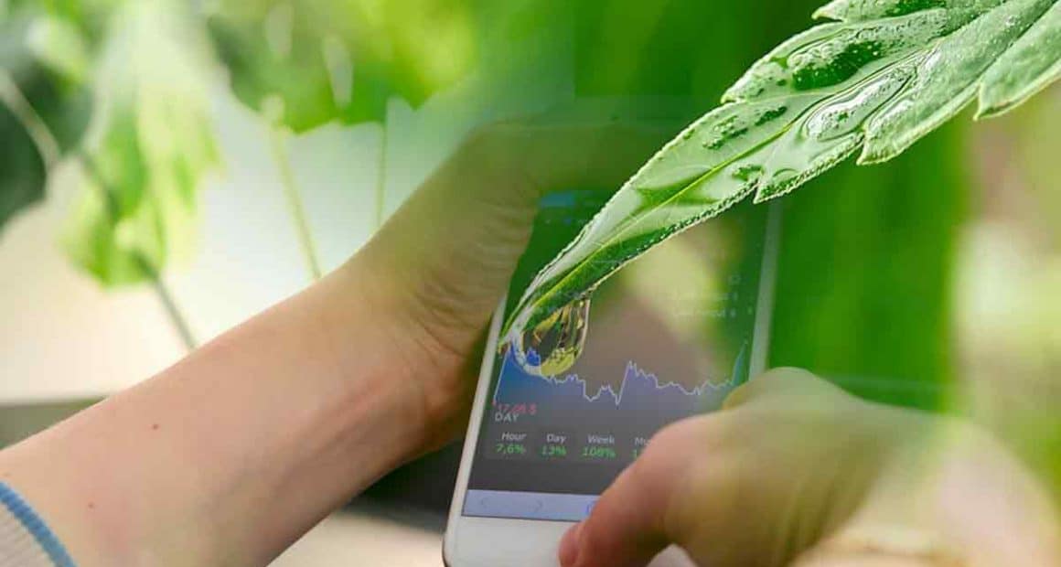 What the Future of Cannabis Will Look Like - Marijuana Stocks ...