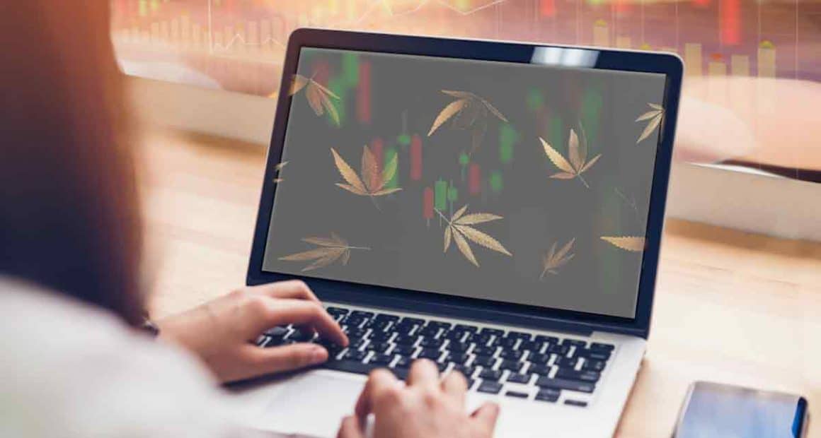 List Of Marijuana Stocks | Pot Stock List | MarijuanaStocks.com