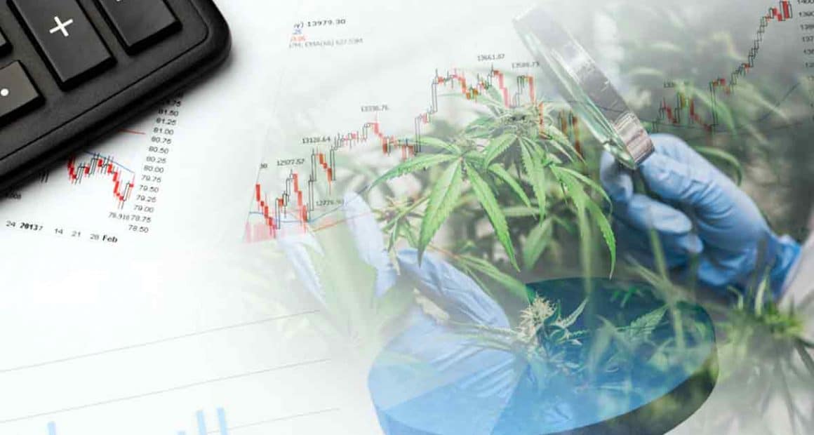 Support for Legal Marijuana Higher Than Ever - Marijuana Stocks ...