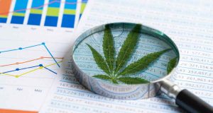 Best Cannabis Stocks in Canada to Watch Now: Technical Signals and ...