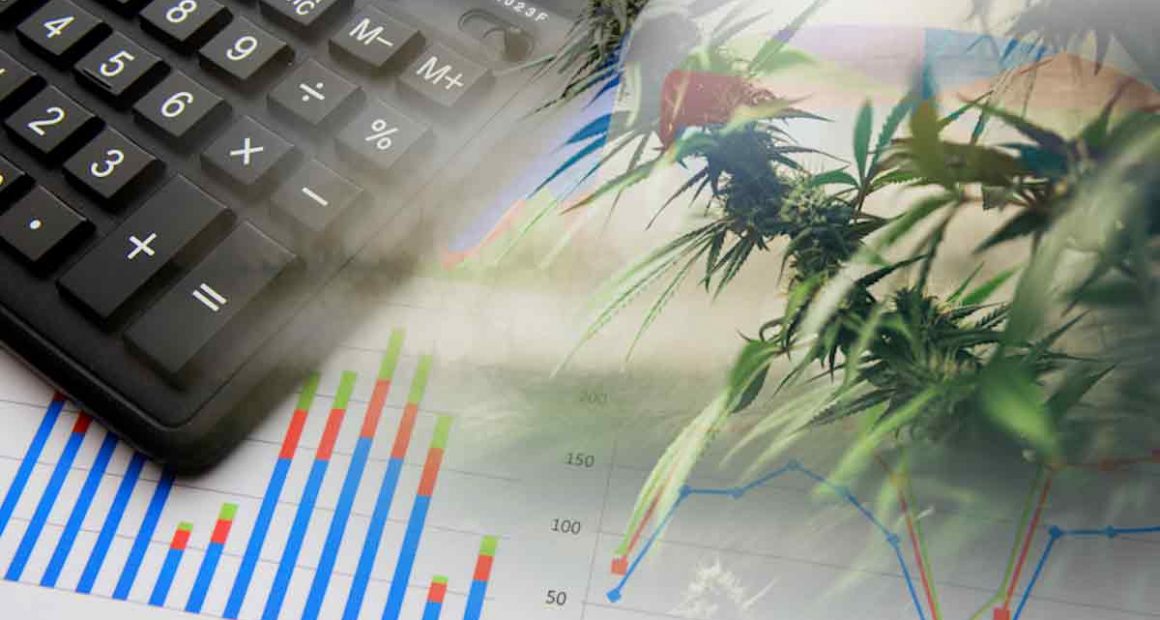 Marijuana Trends & Articles Archives - Marijuana Stocks | Cannabis ...