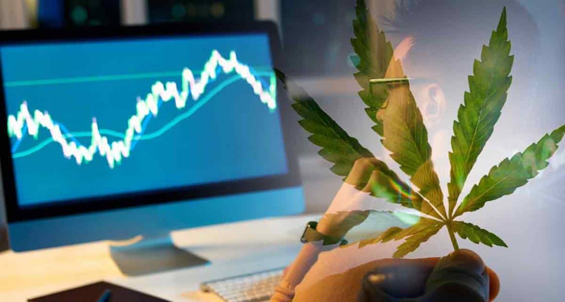 3 Marijuana Stocks That Could Make You Money In 2026